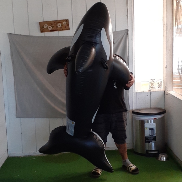 Intex | Toys | Final Price Nwt Intex Orca Inflatable Pool Ride On Toy ...